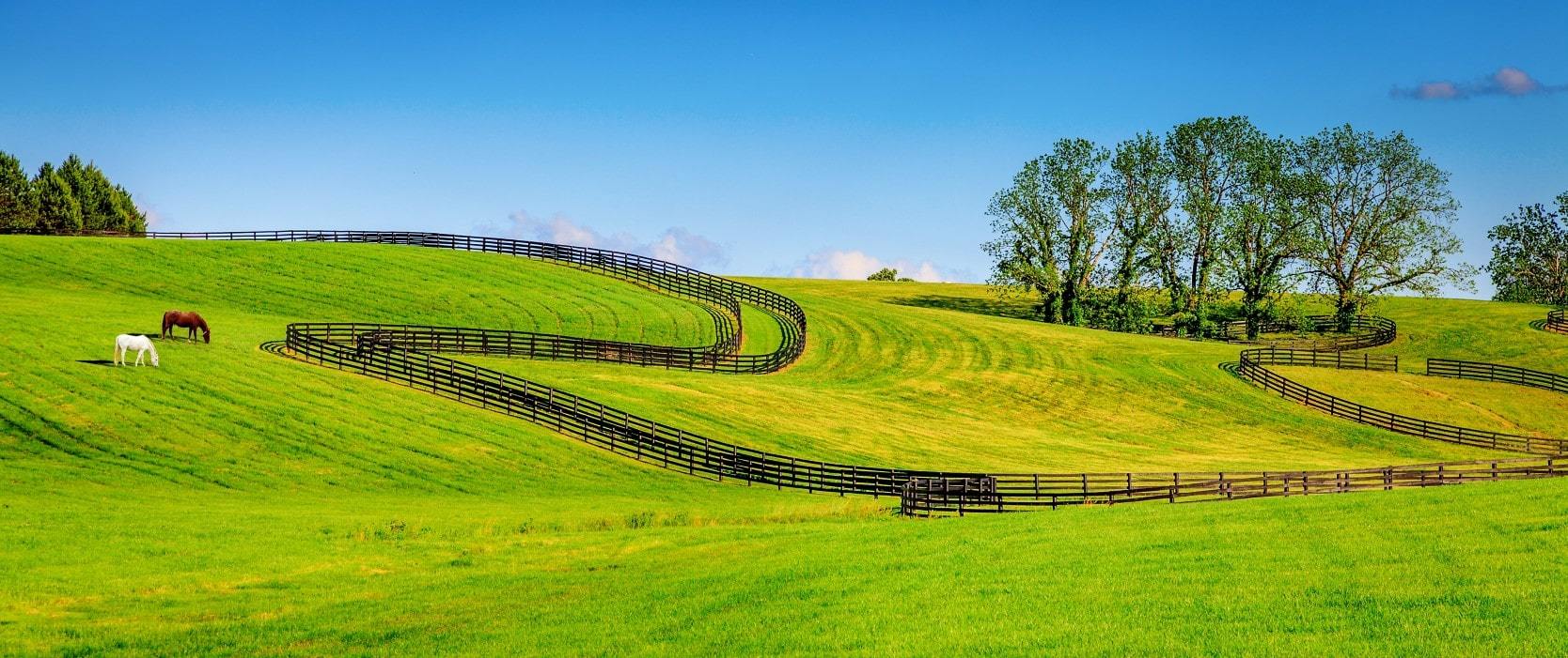 Kentucky Farm Communities | Discover Horse Farm Neighborhoods In KY